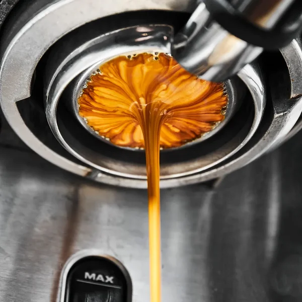 Carnival Coffee Roasters Ltd