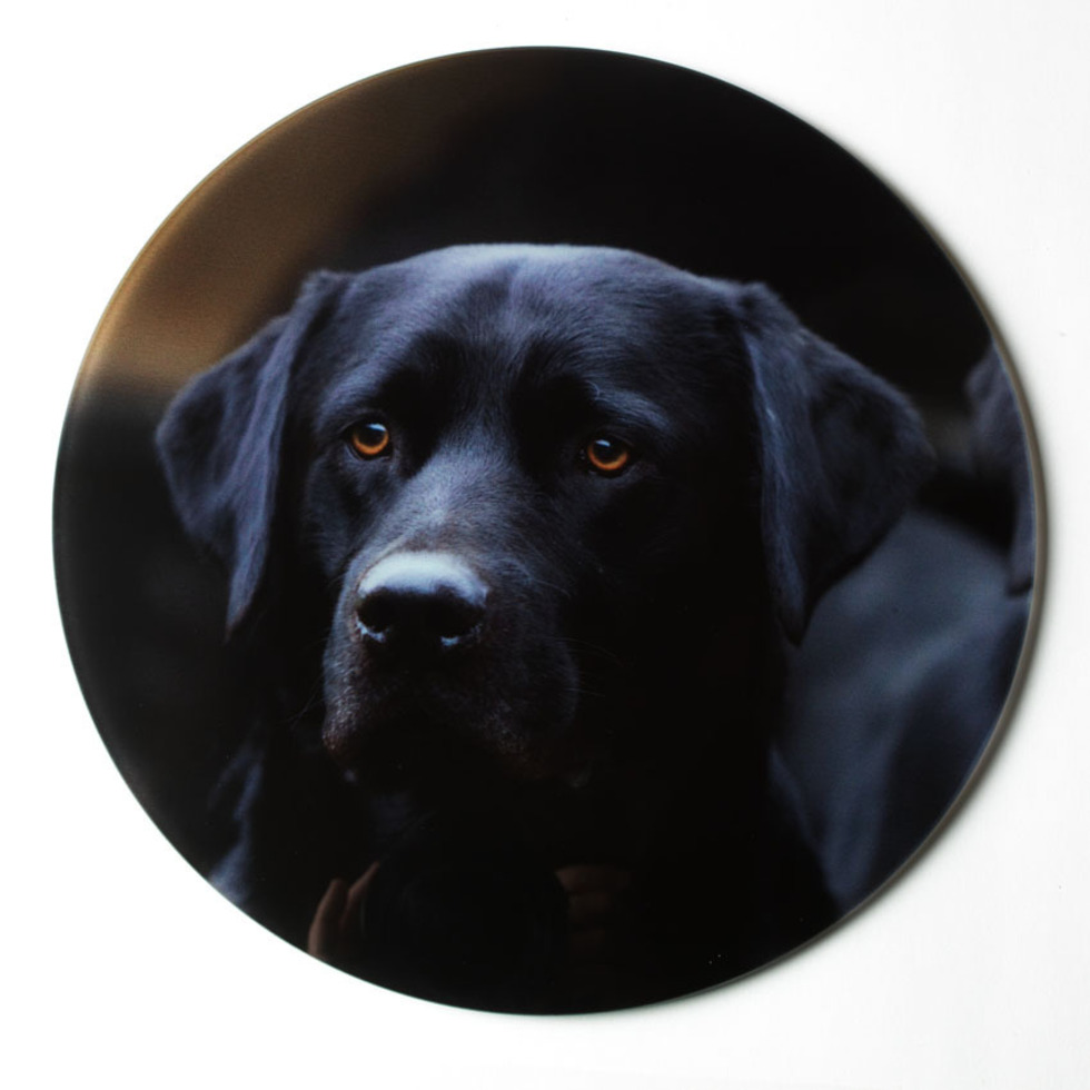 Black Labrador Glass Platter - CSP Countryside Greetings