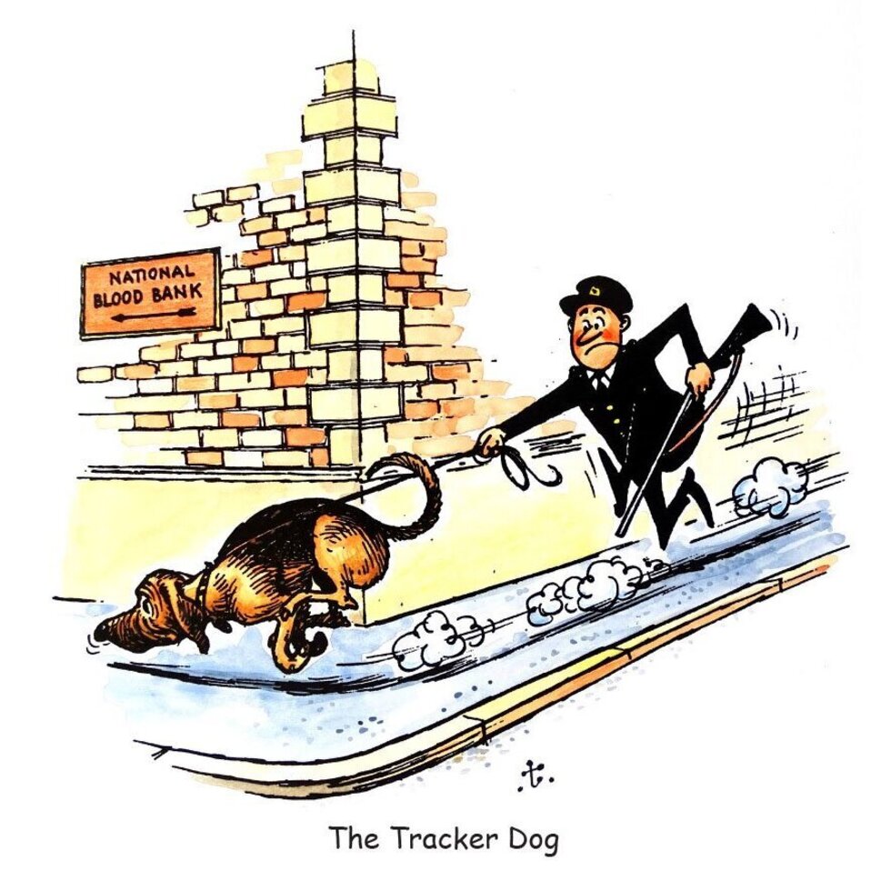 Dog Greeting Card The Tracker Dog By Norman Thelwell CSP Countryside Dog Greeting Card The Tracker Dog By Norman Thelwell CSP Countryside
