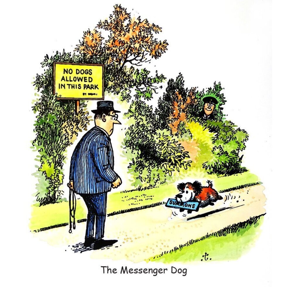 Dog Greeting Card The Messenger Dog By Norman Thelwell CSP